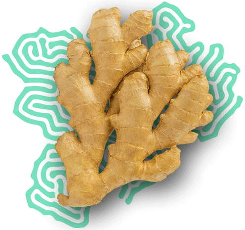 Home - Jahe Marketing